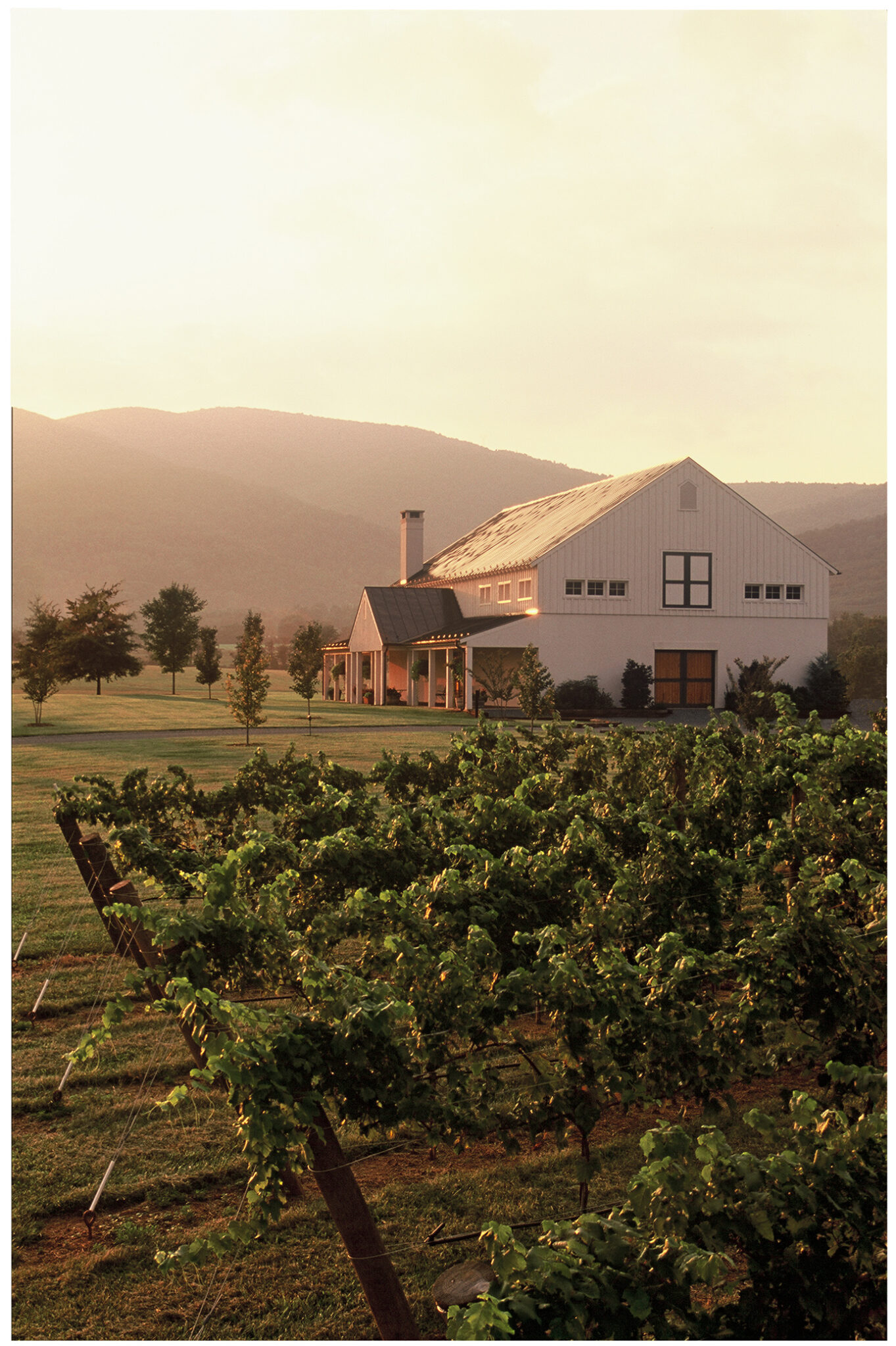 Celebrating Twenty-Three Years - King Family Vineyards